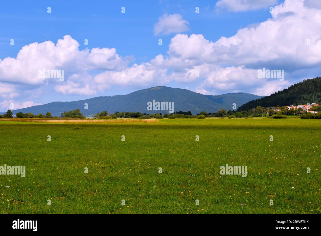 Field at lake Cerknica and Slivnica hill in the background in ...