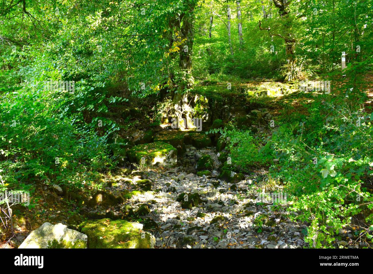 Dry karst spring at Cerknisko Jezero, Slovenia Stock Photo - Alamy