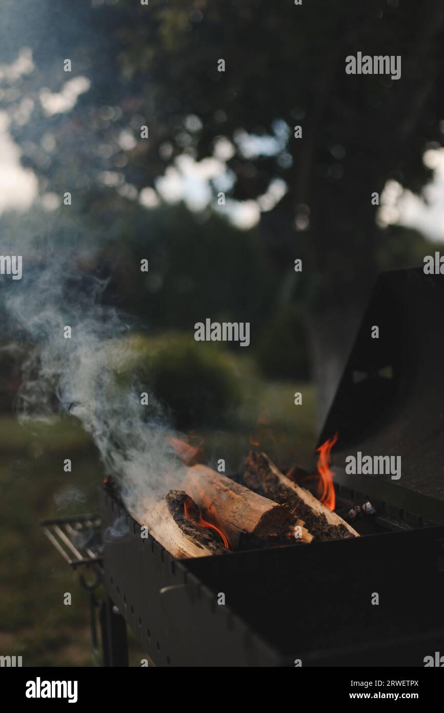 barbecue BBQ grill with flaming fire and ember charcoal on nature ...
