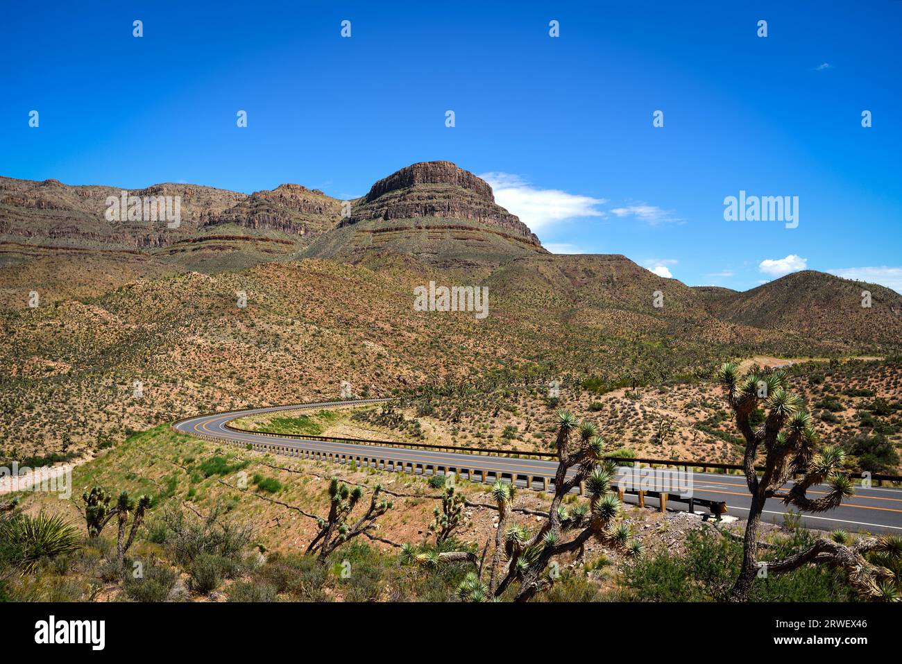 The Diamond Bar Road in Joshua Tree Forest, en route to Grand Canyon ...