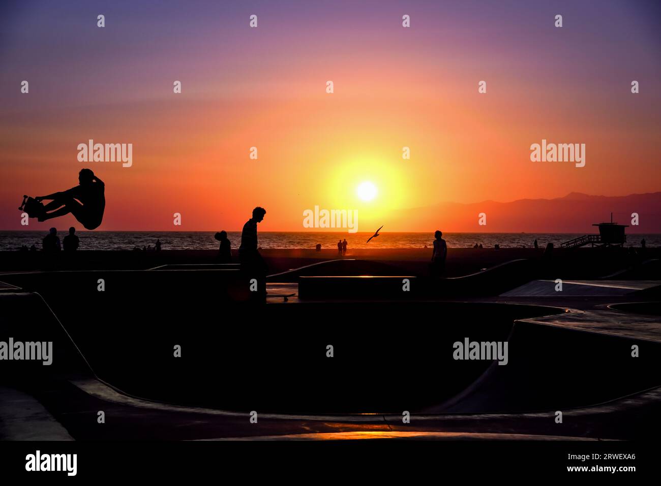 Silhouettes of Skateboarders in Venice Beach Skatepark at Sunset - Los ...