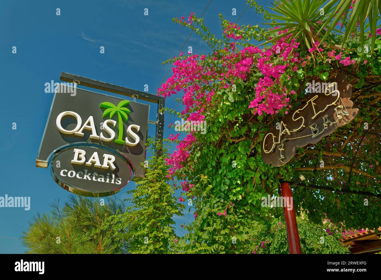 Oasis Bar sign at Kalamaki on the greek island of Zakynthos, Greece ...