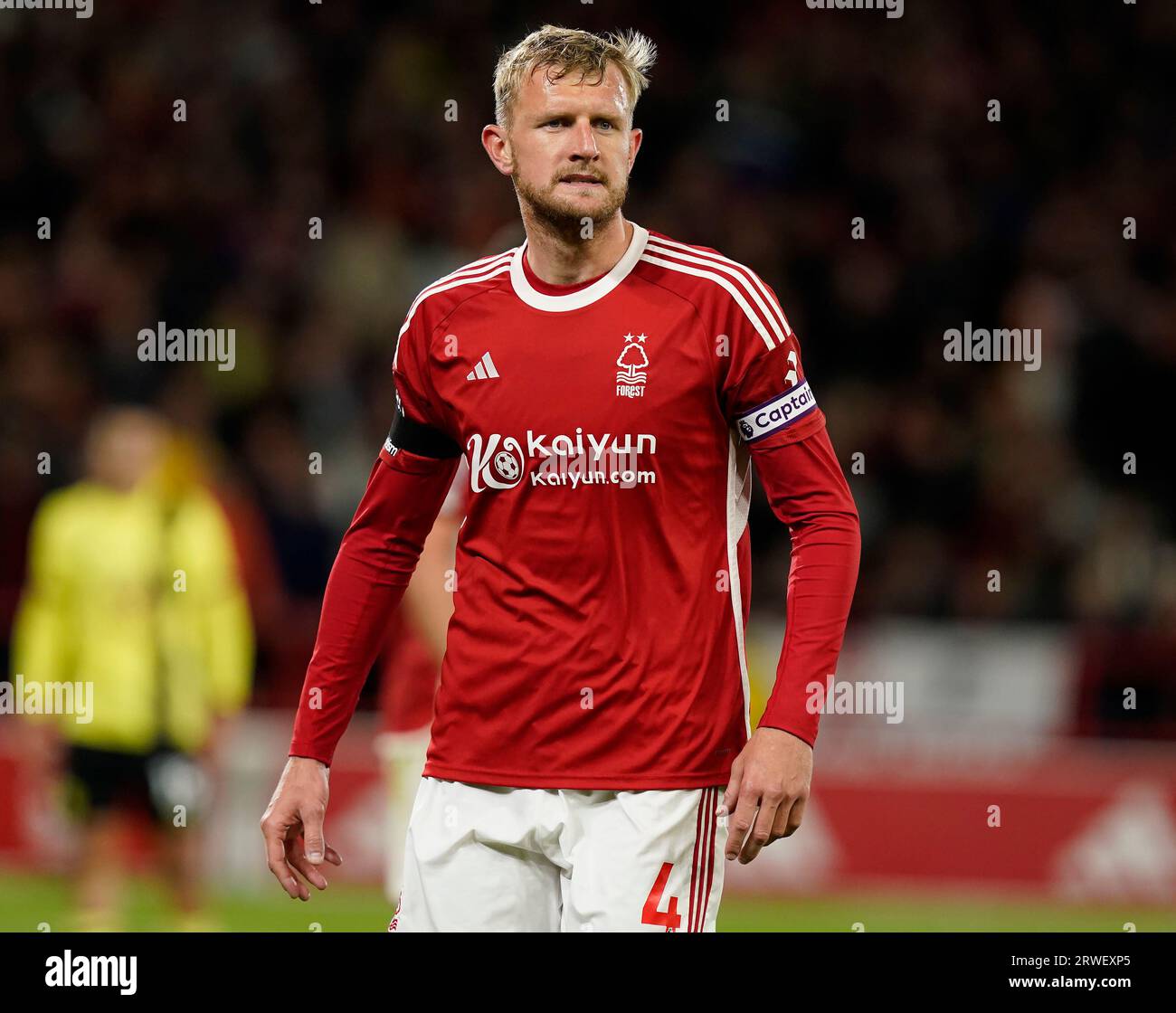 Joe worrall forest 2023 hi-res stock photography and images - Alamy