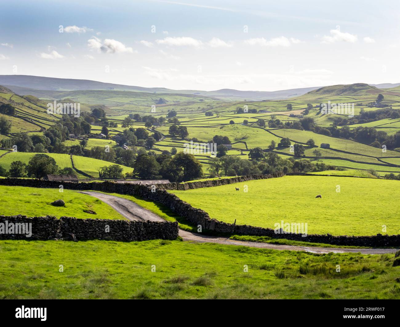Wharfe above Austwick, Yorkshire Dales, UK Stock Photo - Alamy