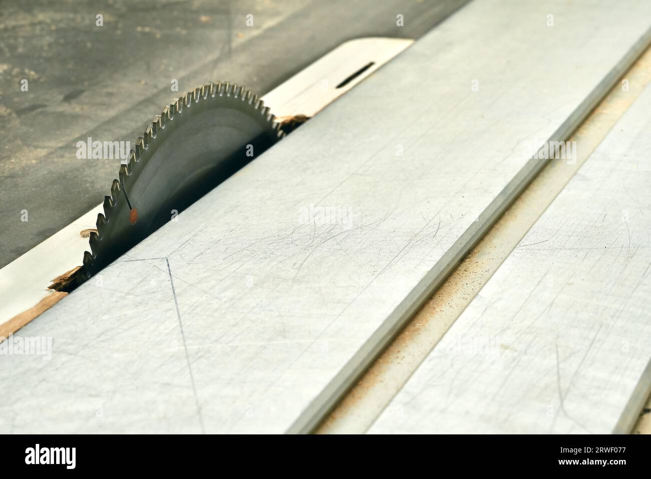 Automatic circular saw with circular saw for cutting wood Stock Photo ...