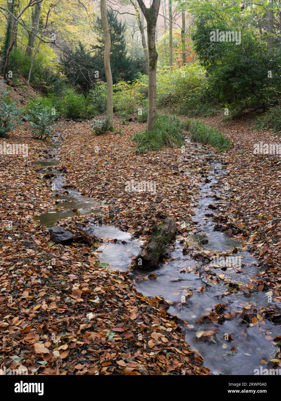 Rectory woods hi-res stock photography and images - Alamy