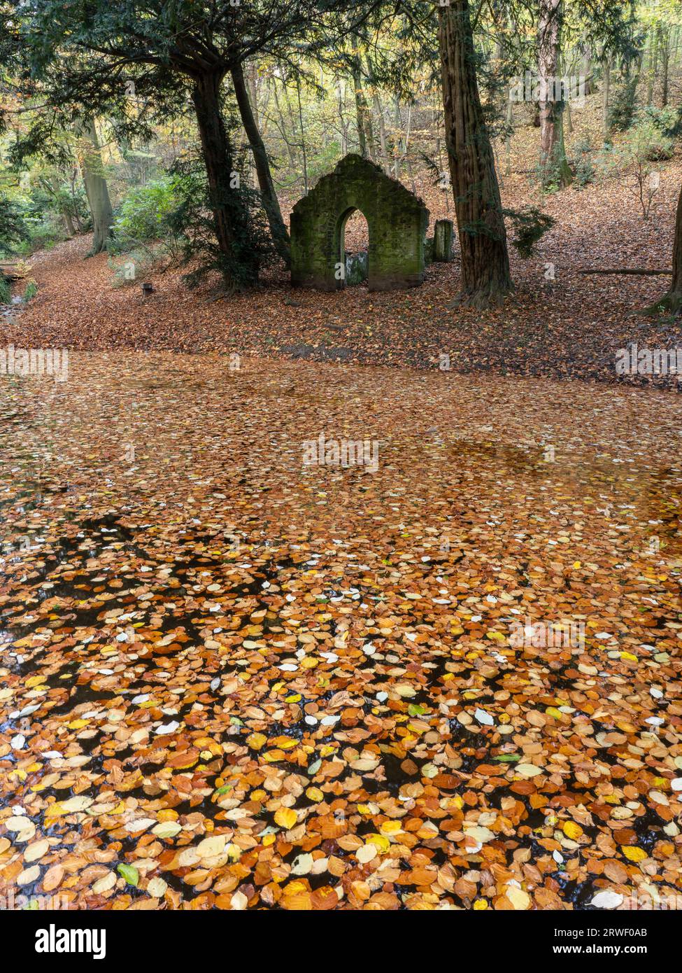 Rectory woods hi-res stock photography and images - Alamy