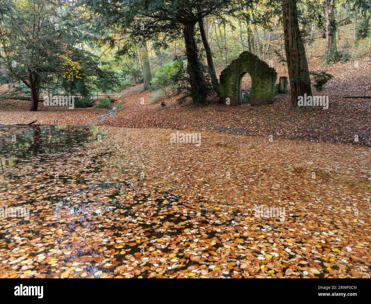Rectory woods hi-res stock photography and images - Alamy