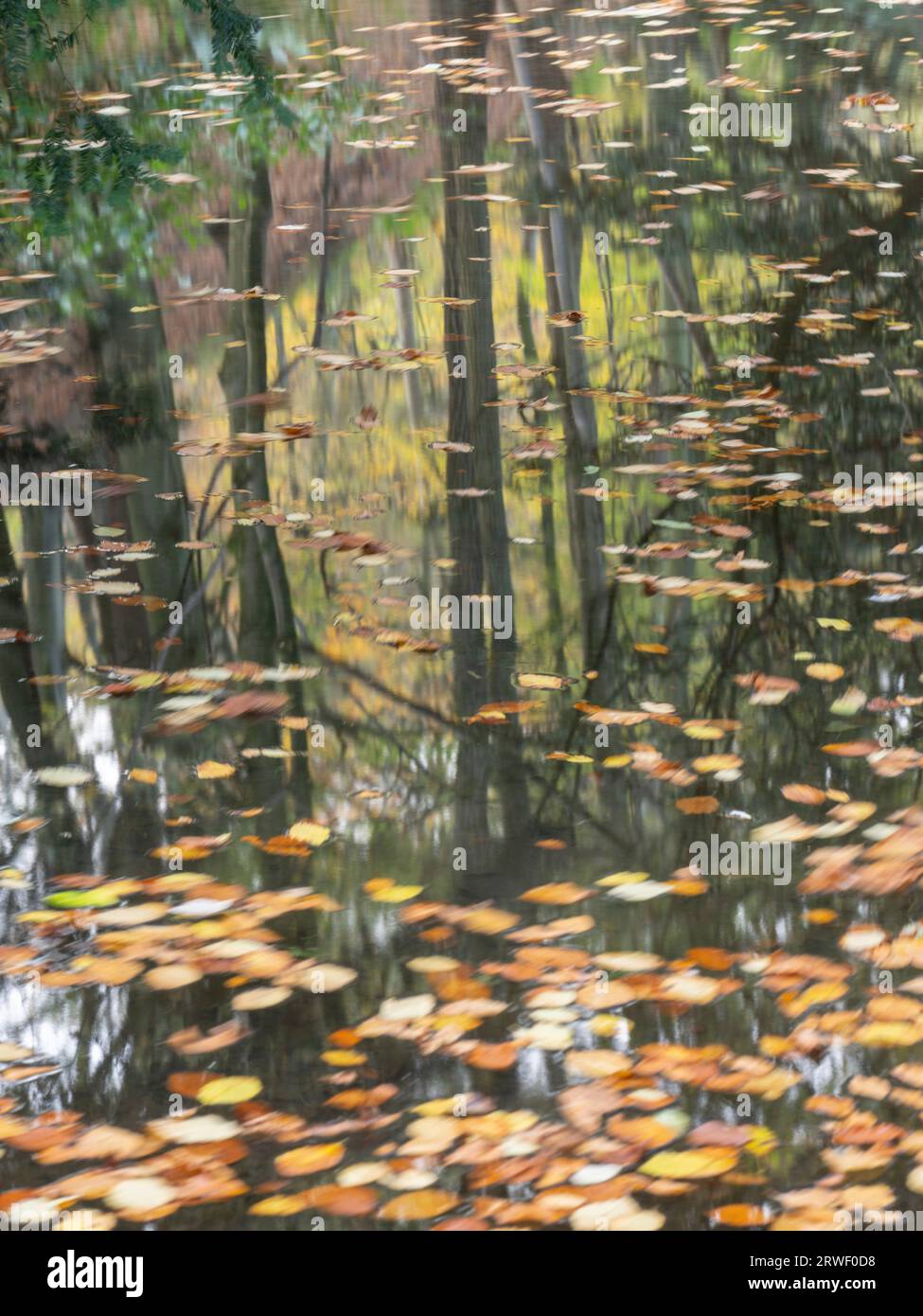 Rectory woods hi-res stock photography and images - Alamy