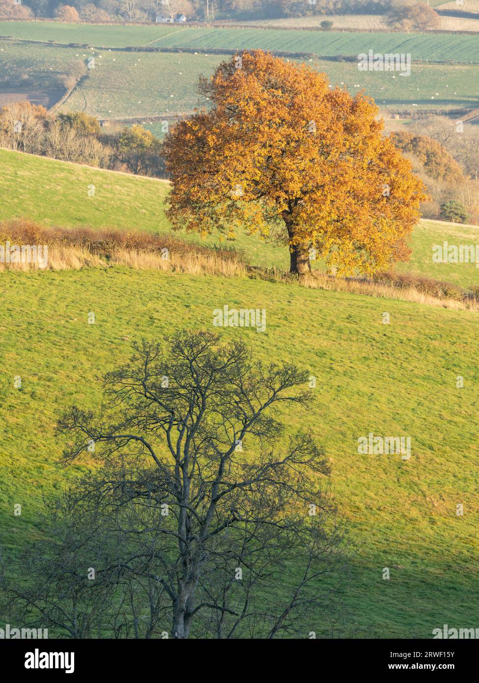 The shropshire way craven arms hi-res stock photography and images - Alamy