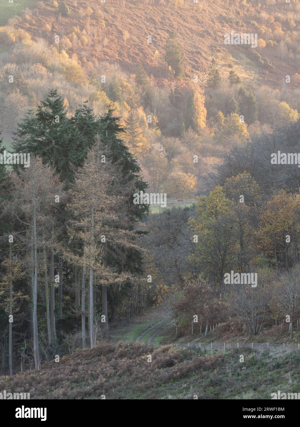 A sunset view from the Iron Age Hill Fort on Burrow Hill near Hopesay ...