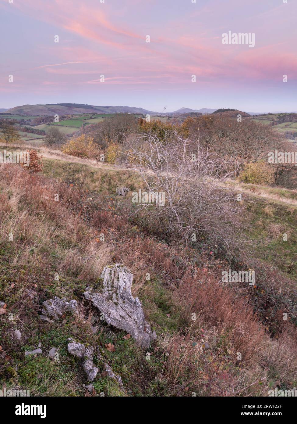Caer caradoc footpath hi-res stock photography and images - Alamy