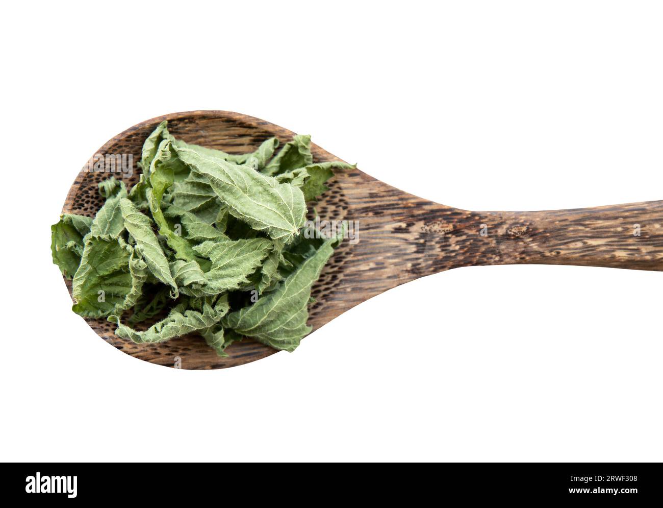 Above view of herbal tea powder made of dry Urtica dioica known as ...