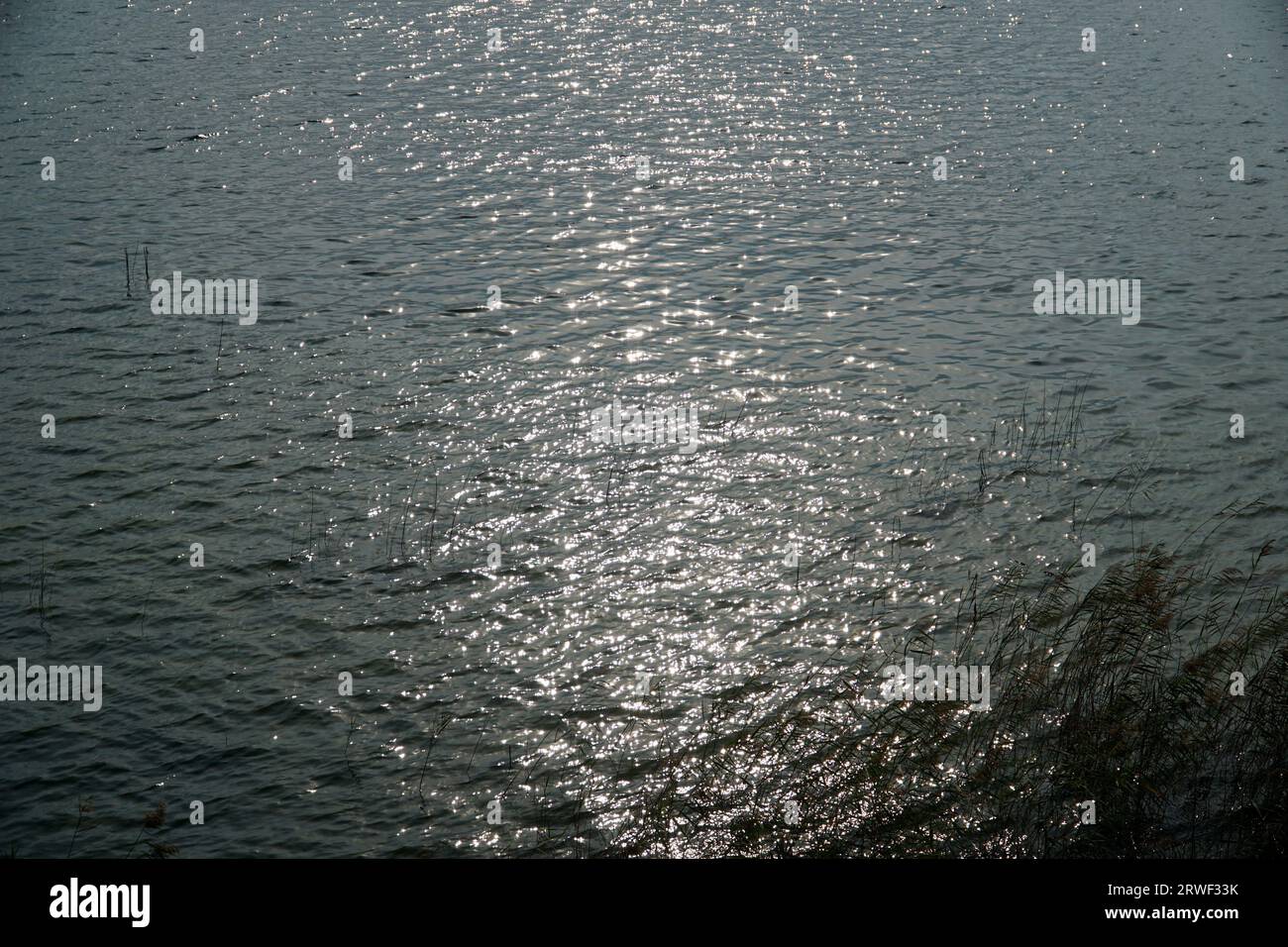 Sun reflecting in water surface Stock Photo - Alamy