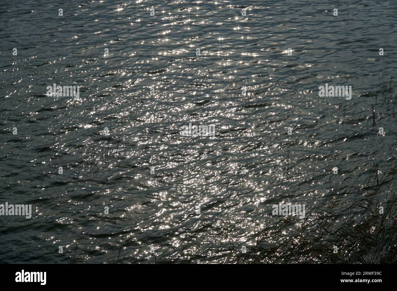 Sun reflecting in water surface Stock Photo - Alamy