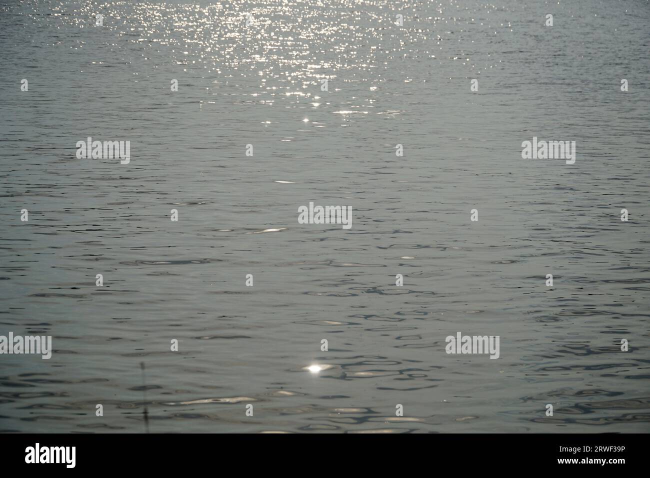 Tiny ripples on water surface Stock Photo - Alamy