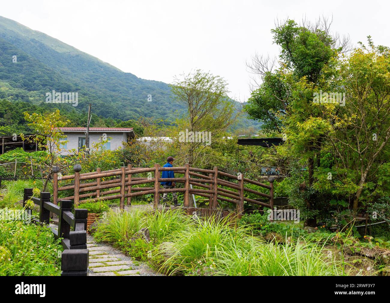 Wooden bridge at Zhu Zi Hu aka Bamboo lake, Beitou, Taipei, Taiwan ...