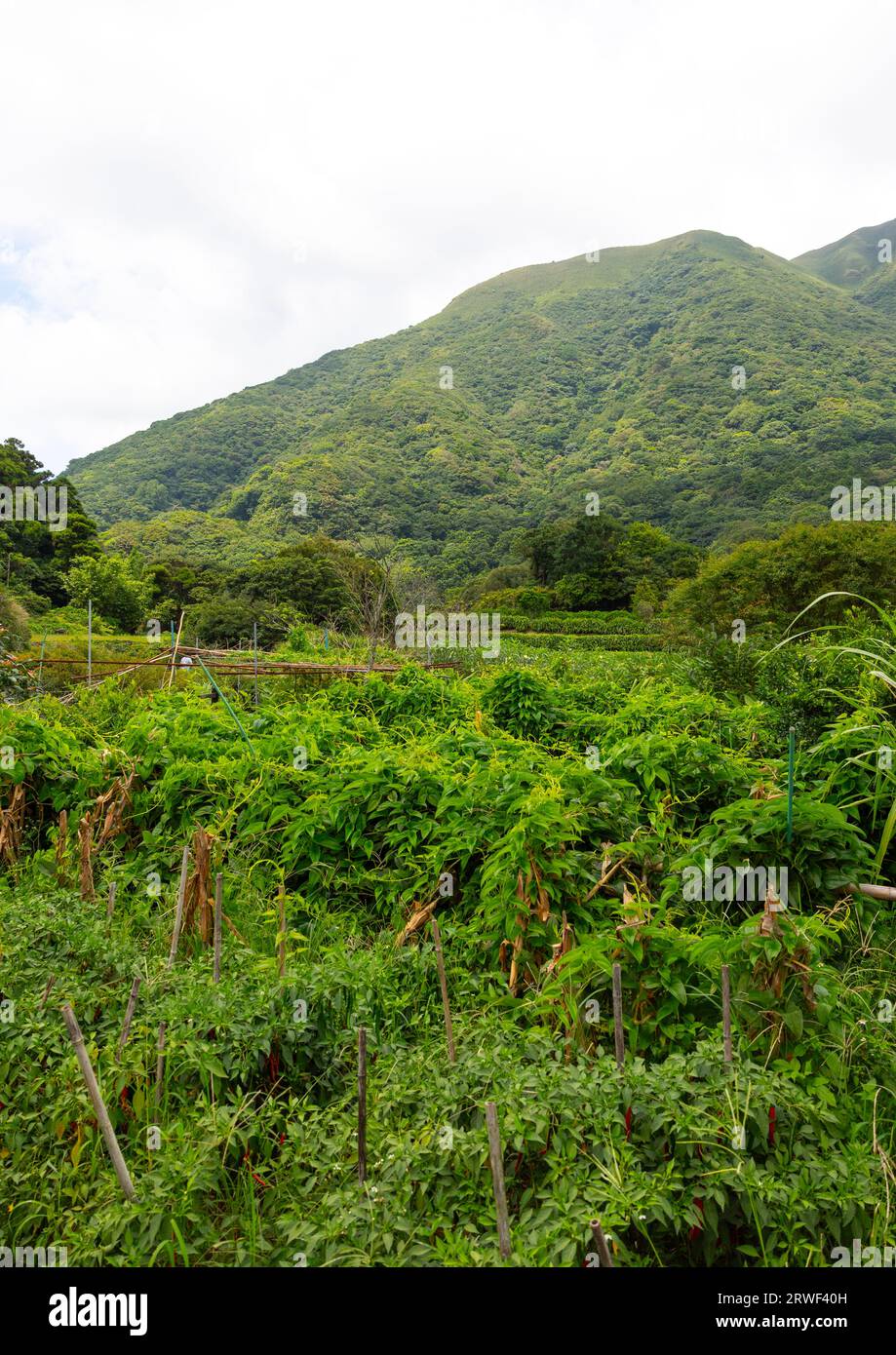 Taiwan 2023 228 hi-res stock photography and images - Alamy