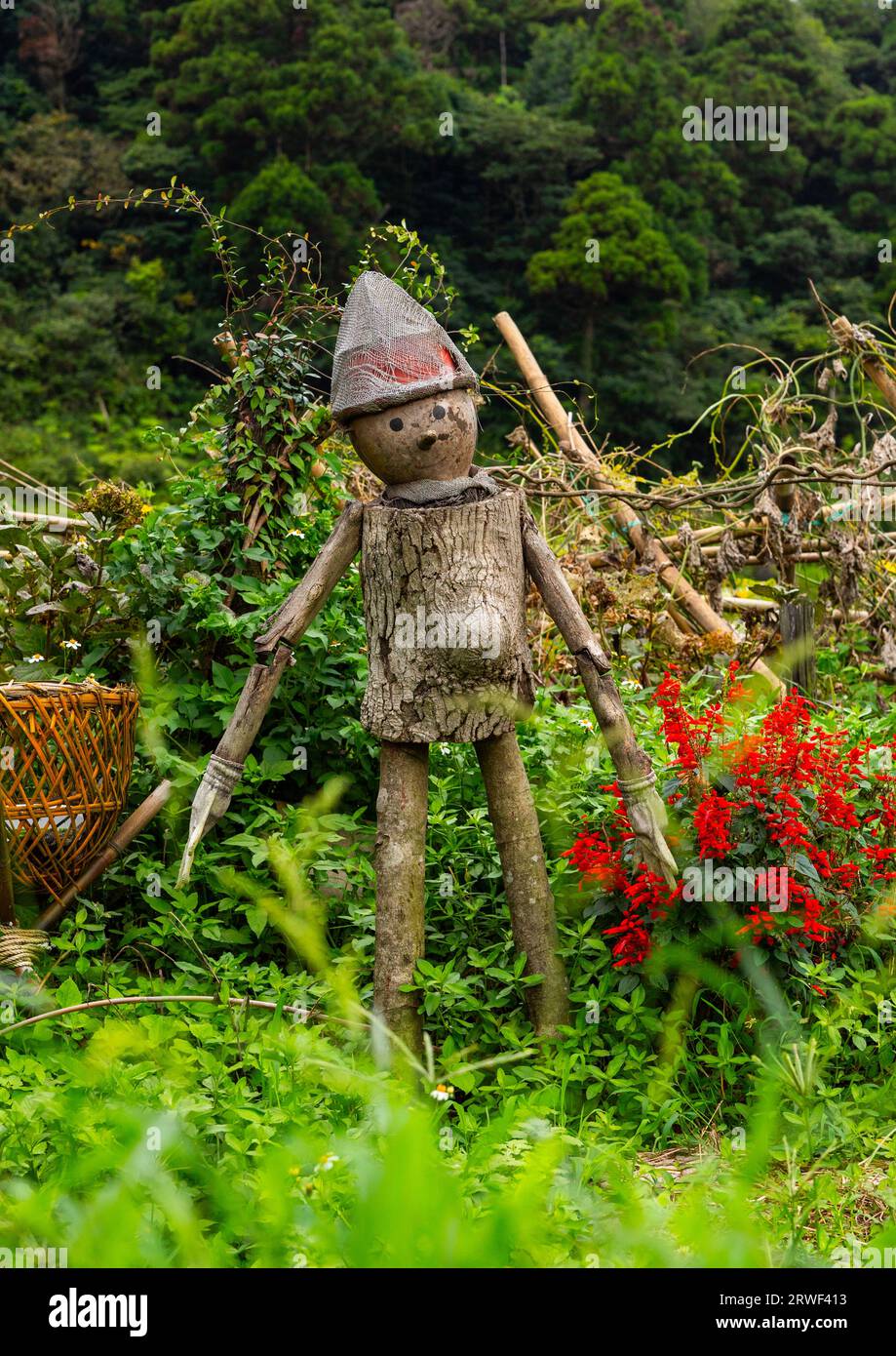 Scarecrow at Zhu Zi Hu aka Bamboo lake, Beitou, Taipei, Taiwan Stock ...