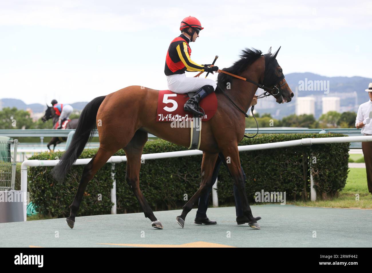 Brede weg hi-res stock photography and images - Alamy