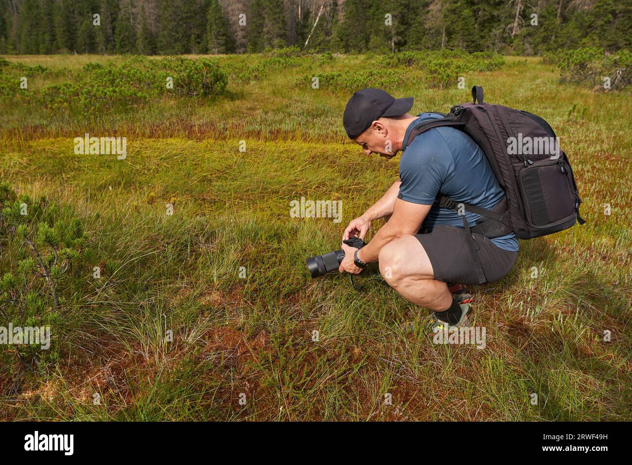 Photographer taking macro picture hi-res stock photography and images ...