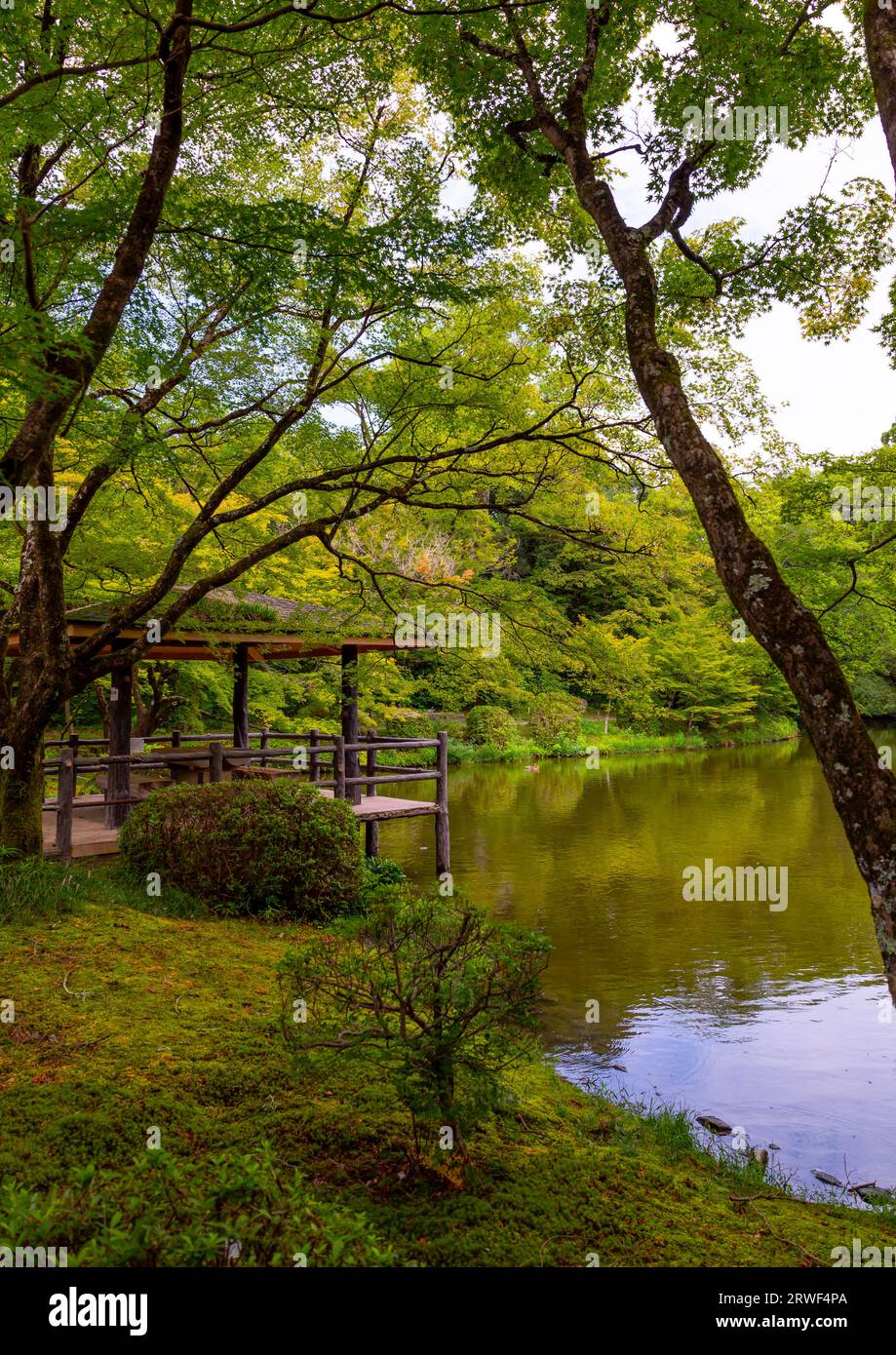 Water pond in Kyoto botanical garden, Kansai region, Kyoto, Japan Stock ...