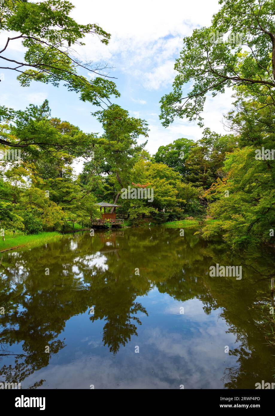 Water pond in Kyoto botanical garden, Kansai region, Kyoto, Japan Stock ...