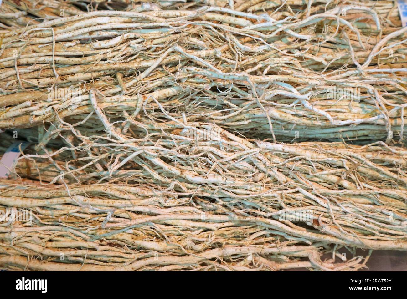 Astragalus root (milkvetch) - traditional Korean medicine natural ...