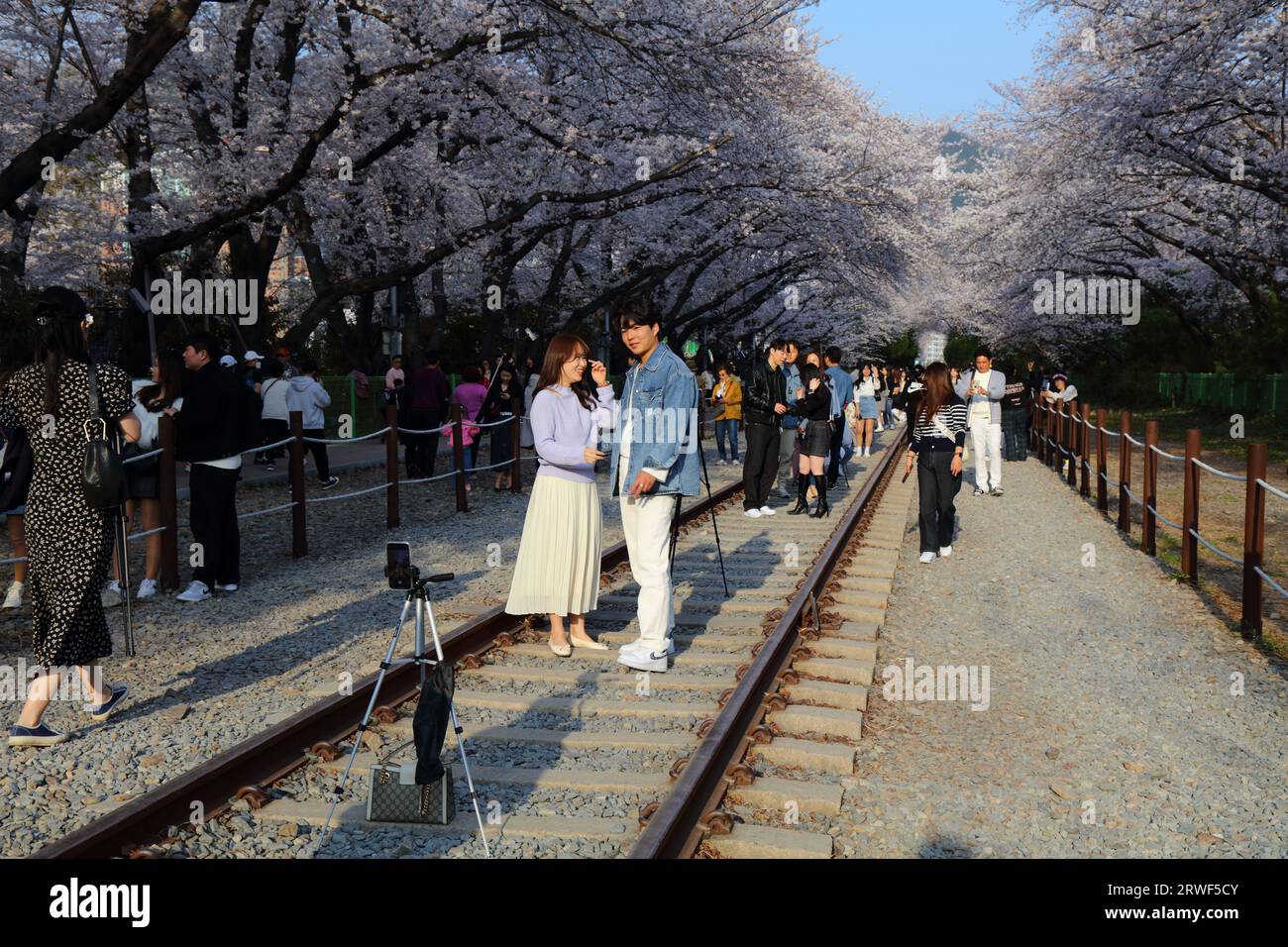 JINHAE, SOUTH KOREA - MARCH 28, 2023: People visit Gyeonghwa Station ...