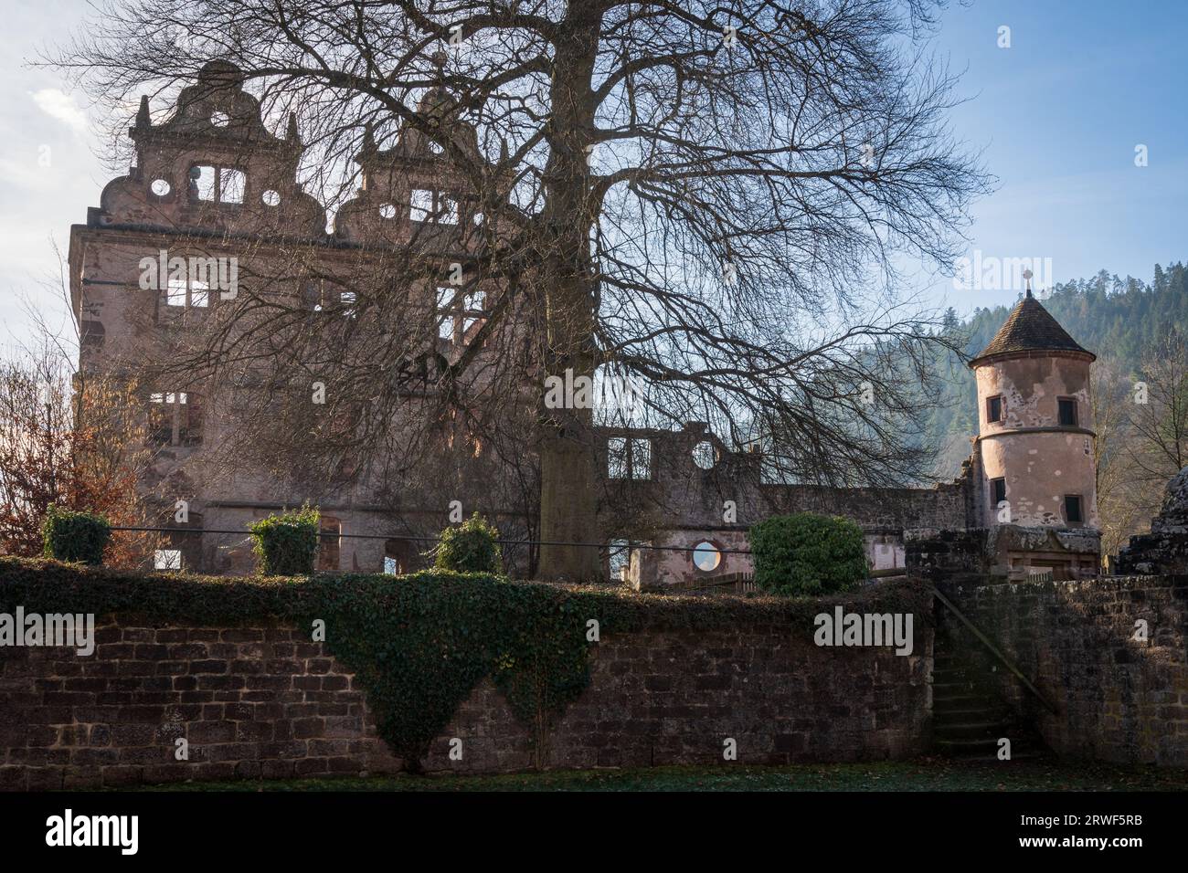 The Hirsau Abbey, formerly known as Hirschau Abbey in the Black Forest ...