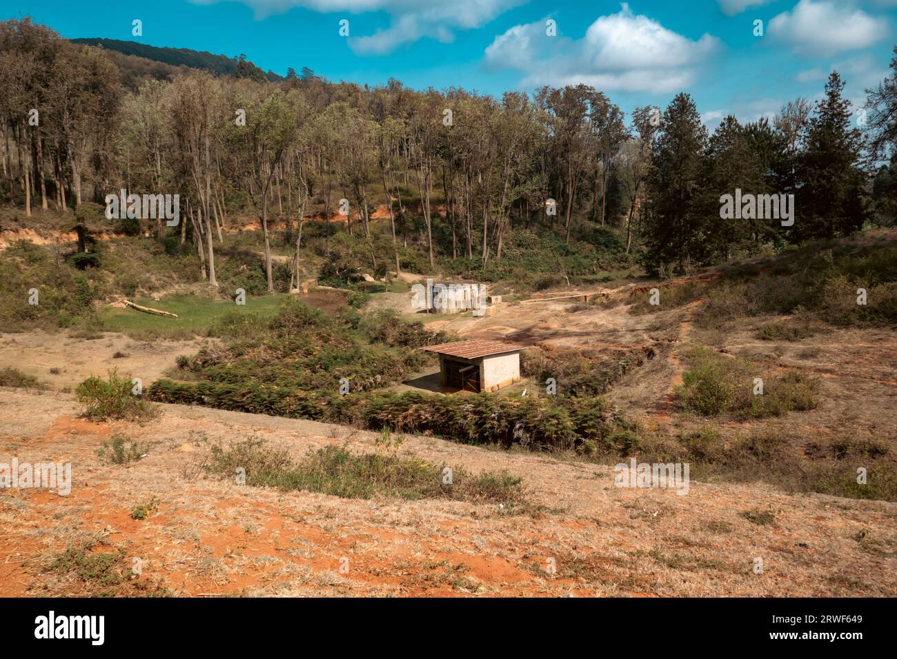 North mbooni forest hi-res stock photography and images - Alamy