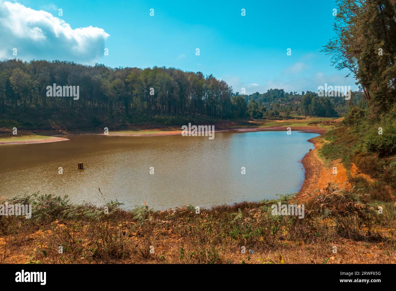Mbooni forest hi-res stock photography and images - Alamy