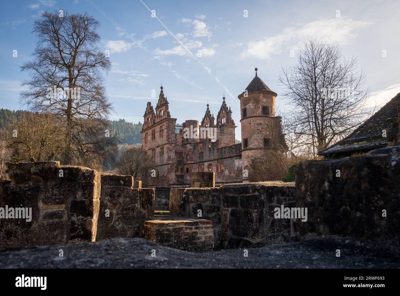The Hirsau Abbey, formerly known as Hirschau Abbey in the Black Forest ...