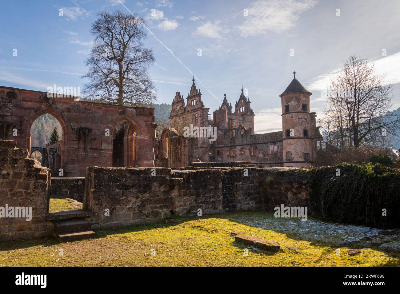 The Hirsau Abbey, formerly known as Hirschau Abbey in the Black Forest ...