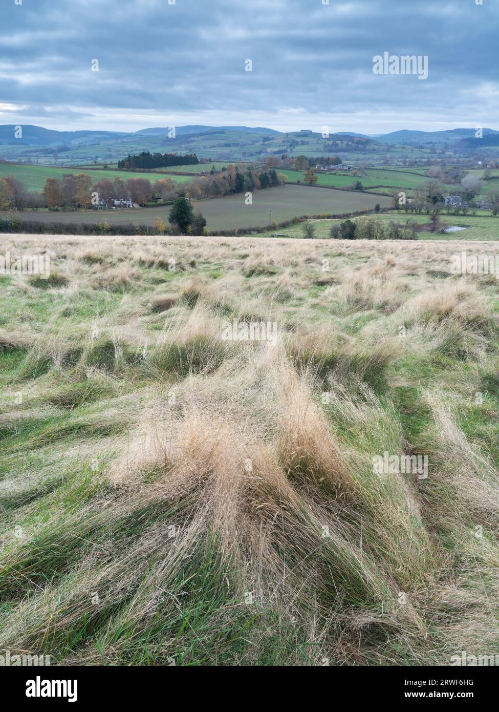 The shropshire way craven arms hi-res stock photography and images - Alamy