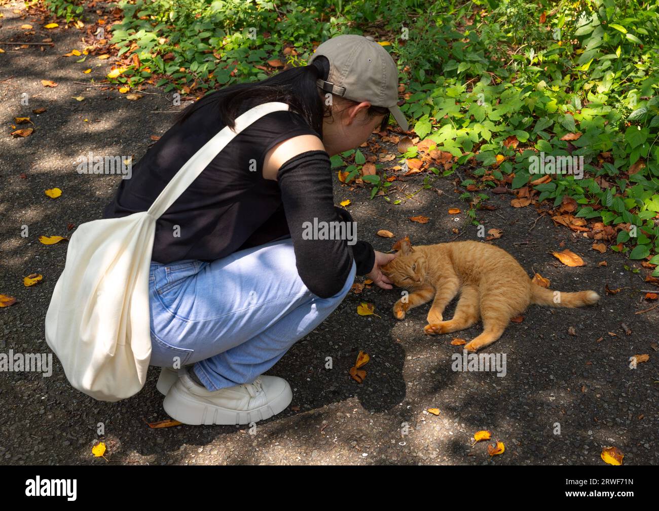 Tourist cuddling a cat in Cat Island, Ainoshima Island, Shingu, Japan ...