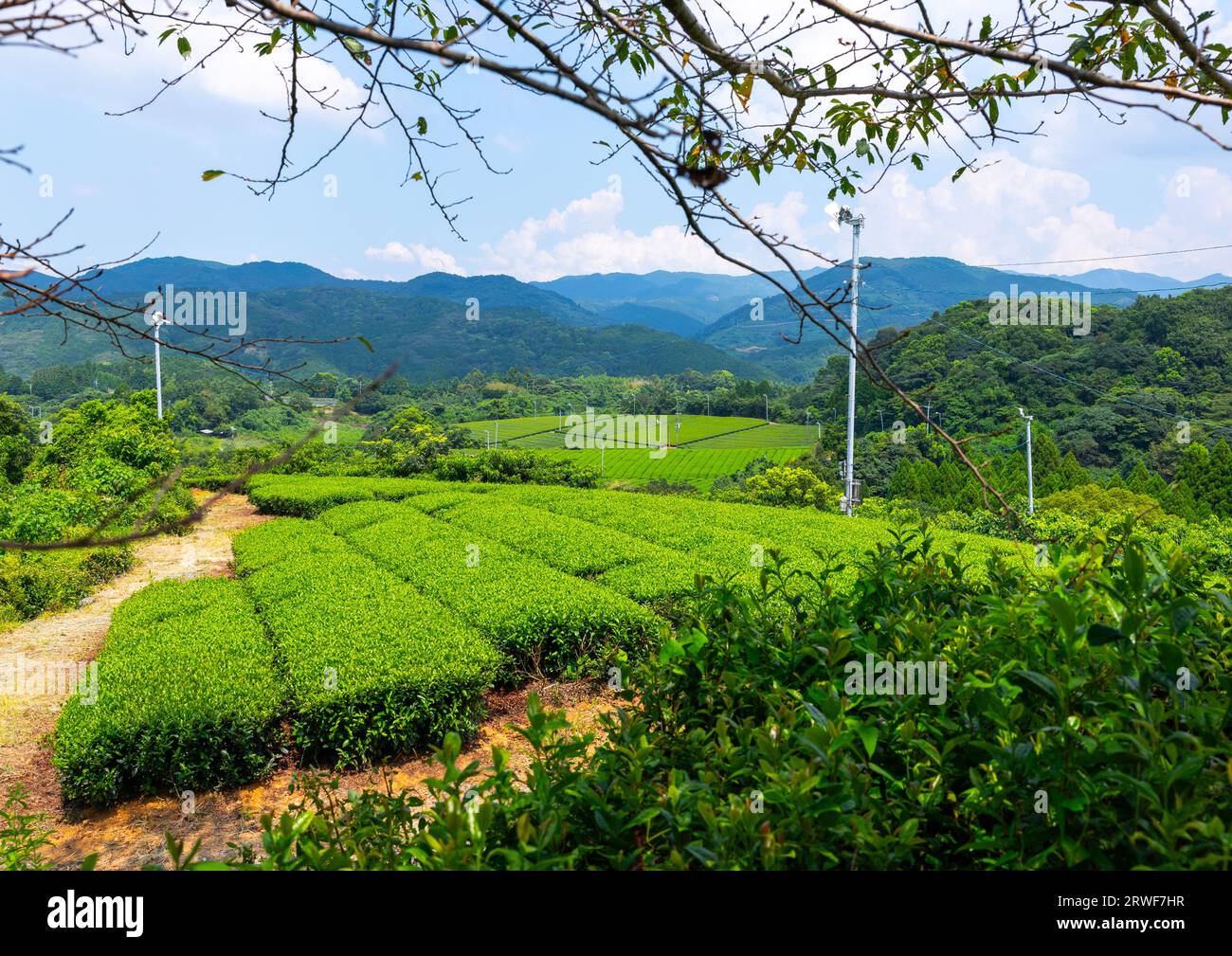 Japan 2023 357 hi-res stock photography and images - Alamy