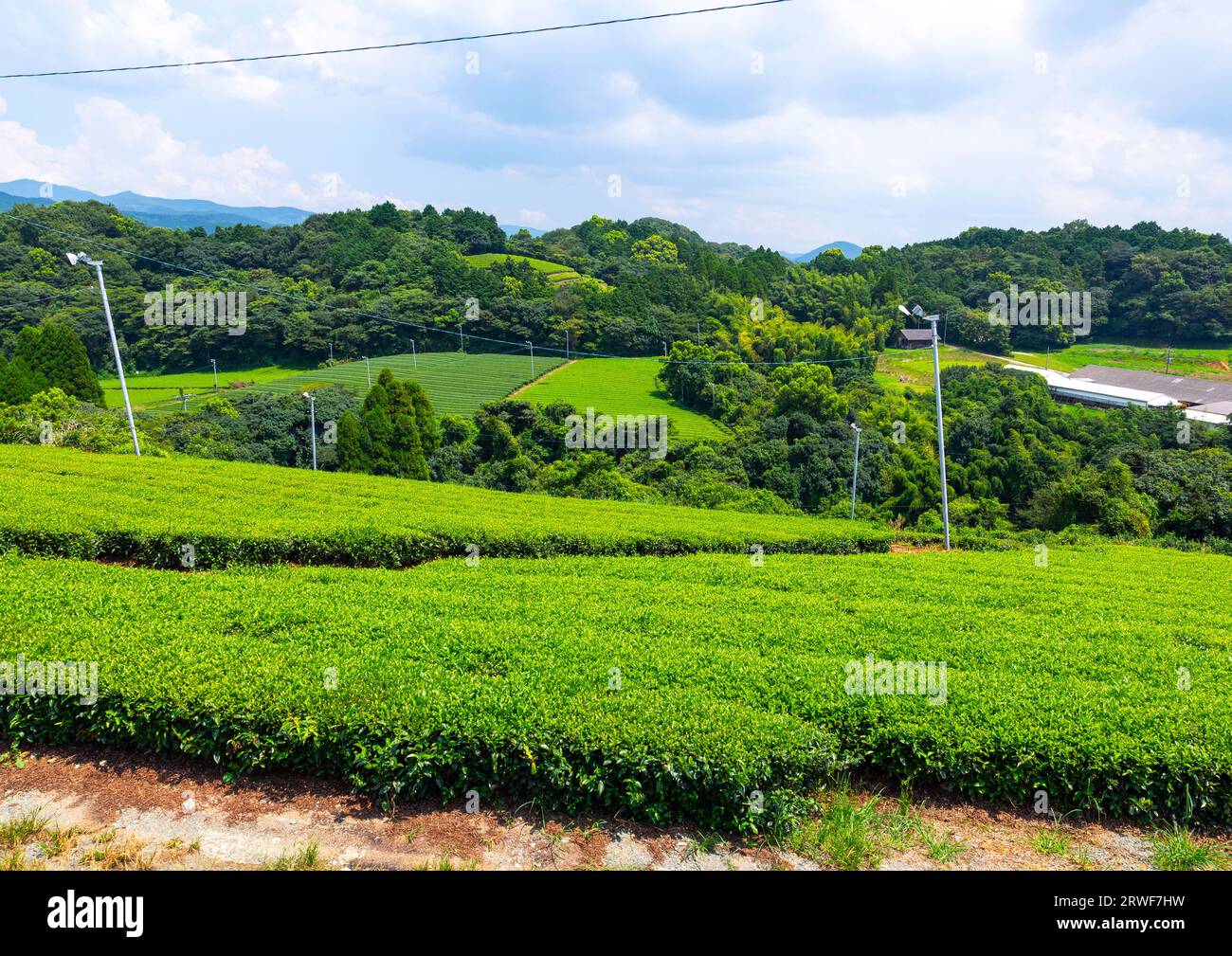 Panoramic view of tea plantations, Kyushu region, Yame, Japan Stock ...