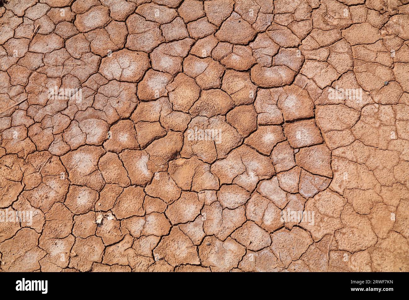 Dried mud surface - dry riverbed background. Drought in Morocco Stock ...