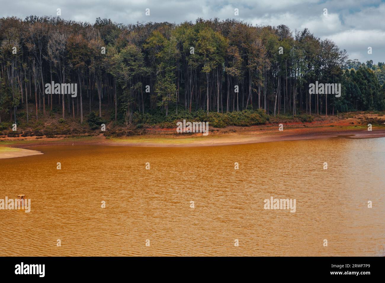 Mbooni forest hi-res stock photography and images - Alamy