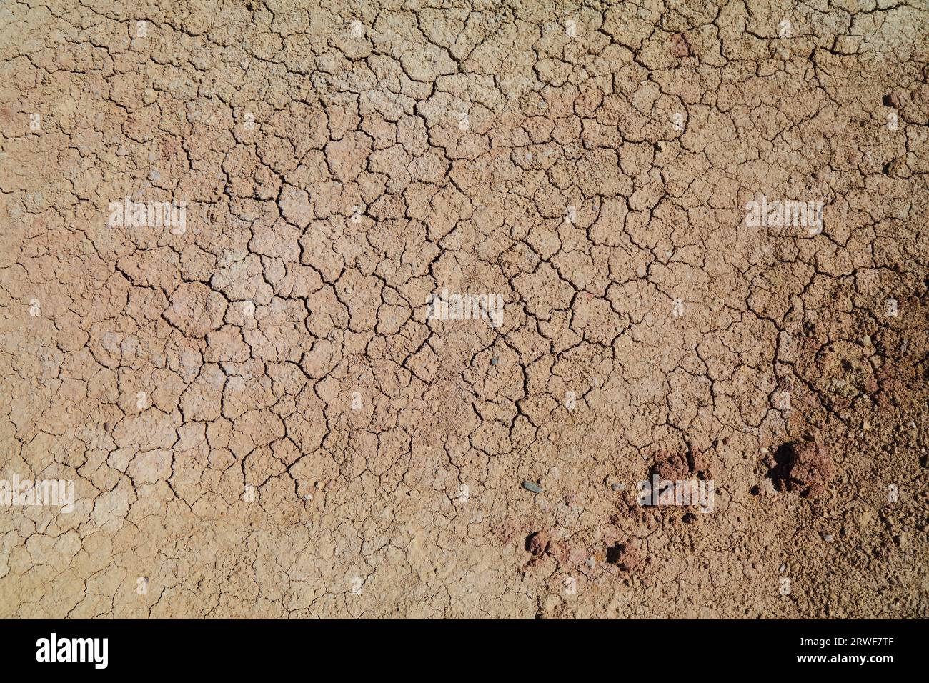 Dried mud surface - dry riverbed earth texture. Drought in Spain Stock ...