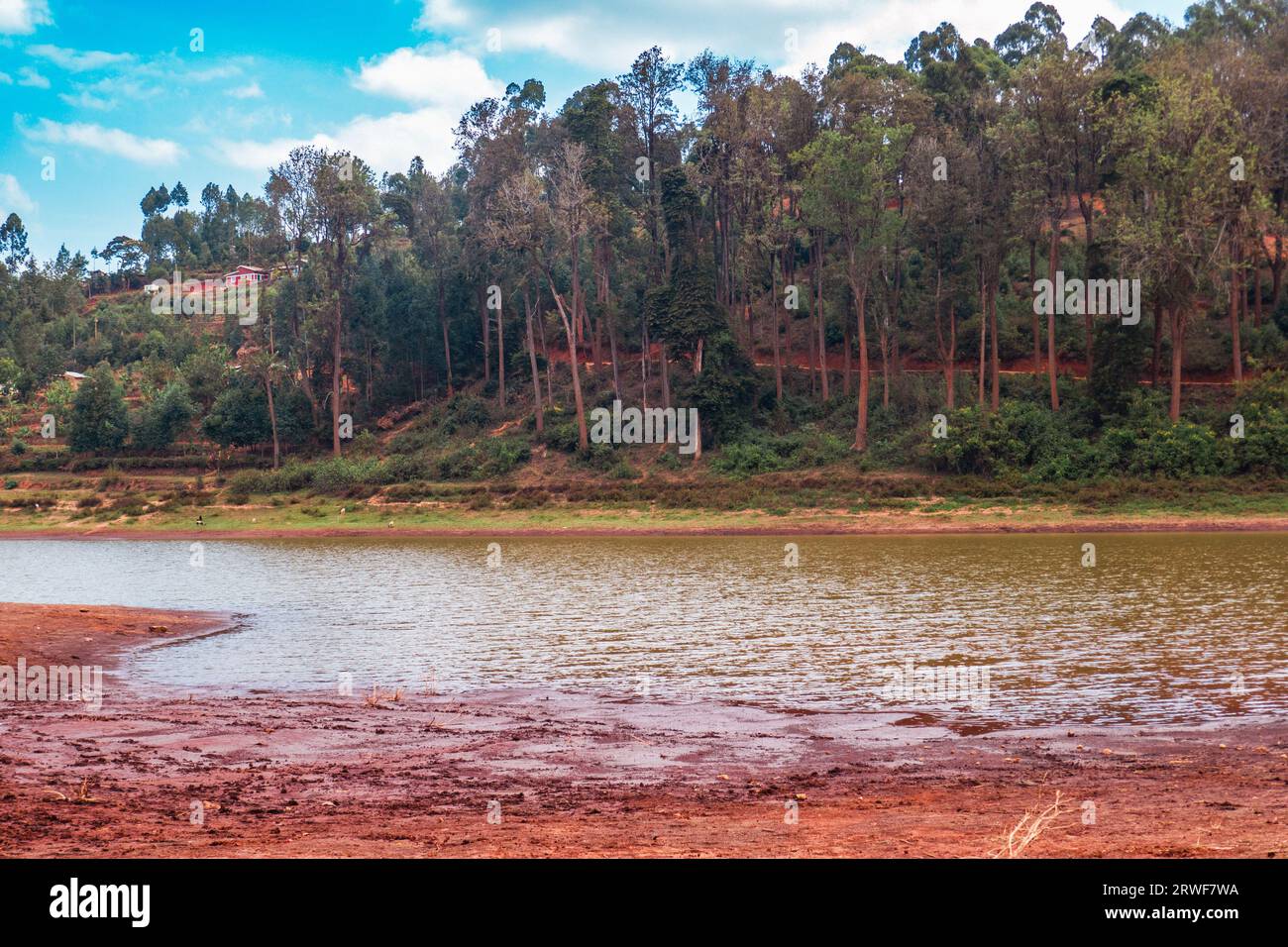 Mbooni forest hi-res stock photography and images - Alamy