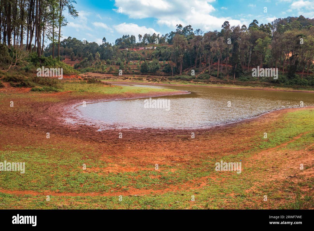 Mbooni forest hi-res stock photography and images - Alamy