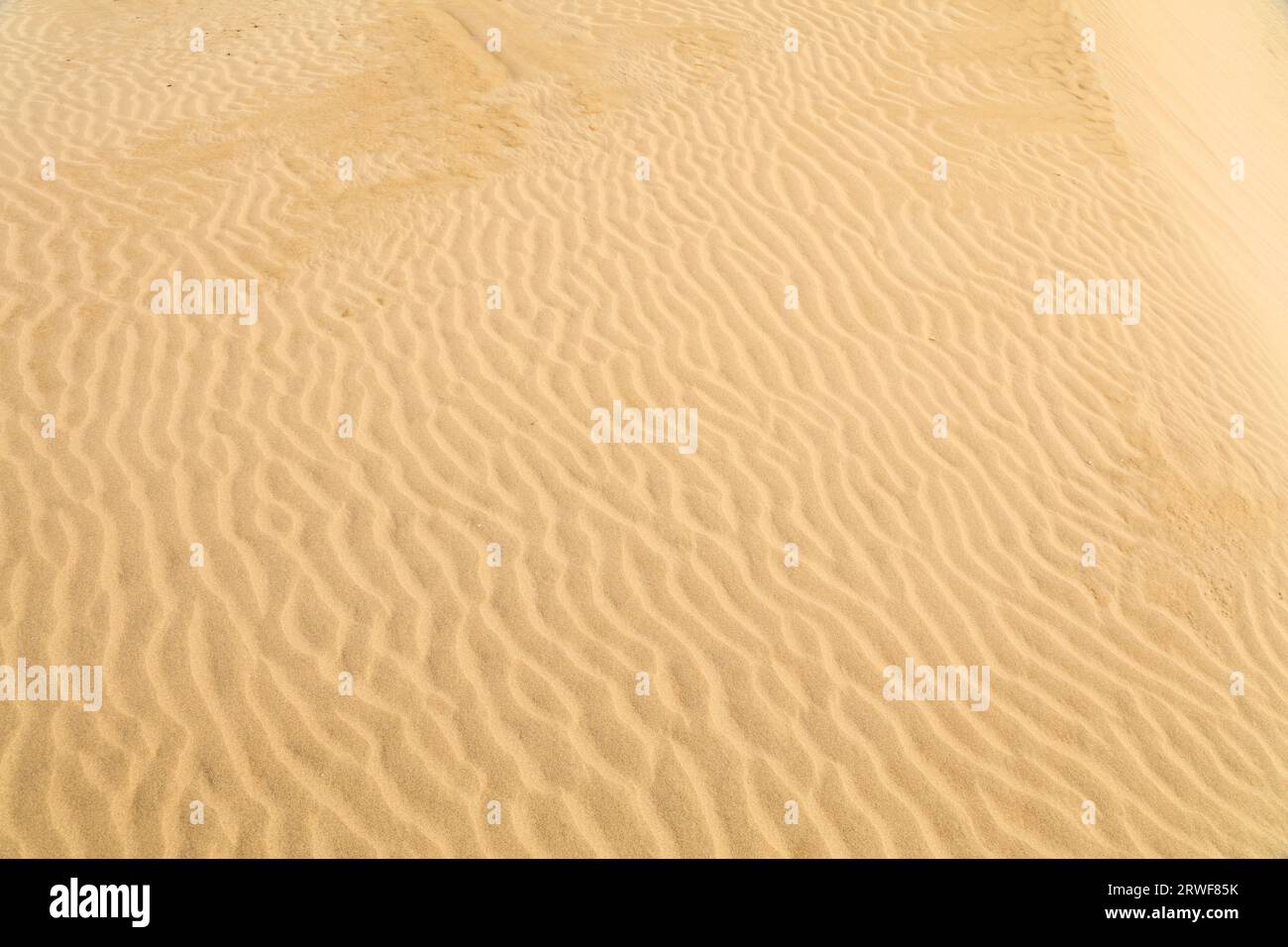 Sand pattern texture in Morocco. Desert Sahara sand ripples background Stock Photo - Alamy
