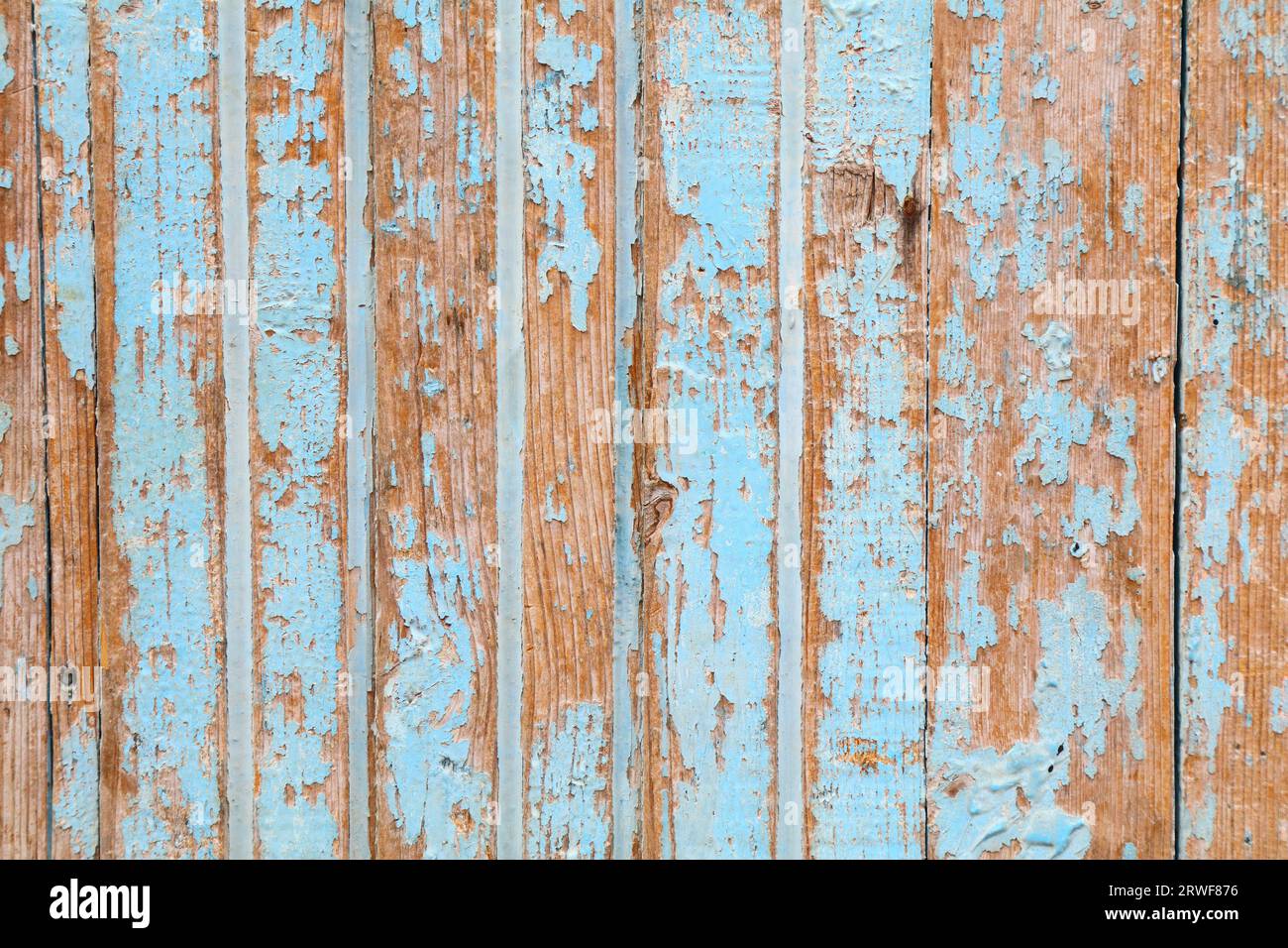 Old wood background. Grunge wooden painted planks texture. Flaking ...