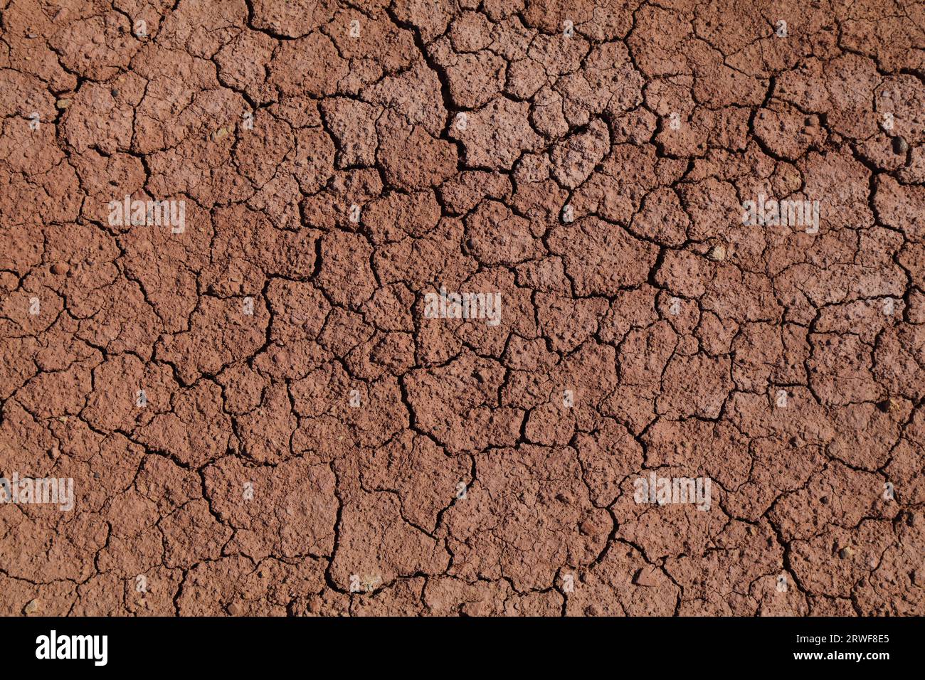 Dried mud surface - dry riverbed earth texture. Drought in Morocco ...