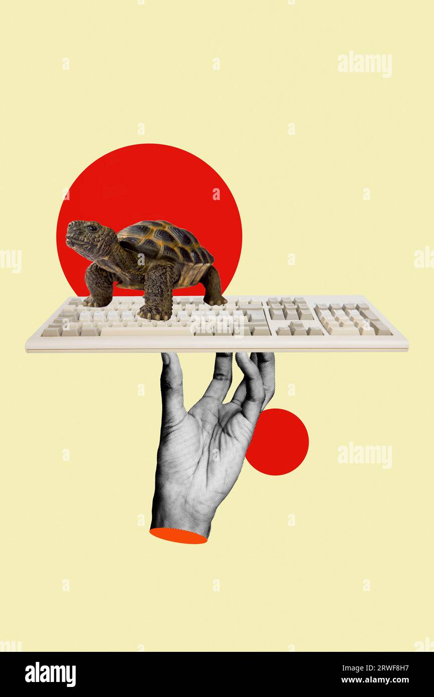 Composite creative artwork collage of antique miniature funny turtle ...