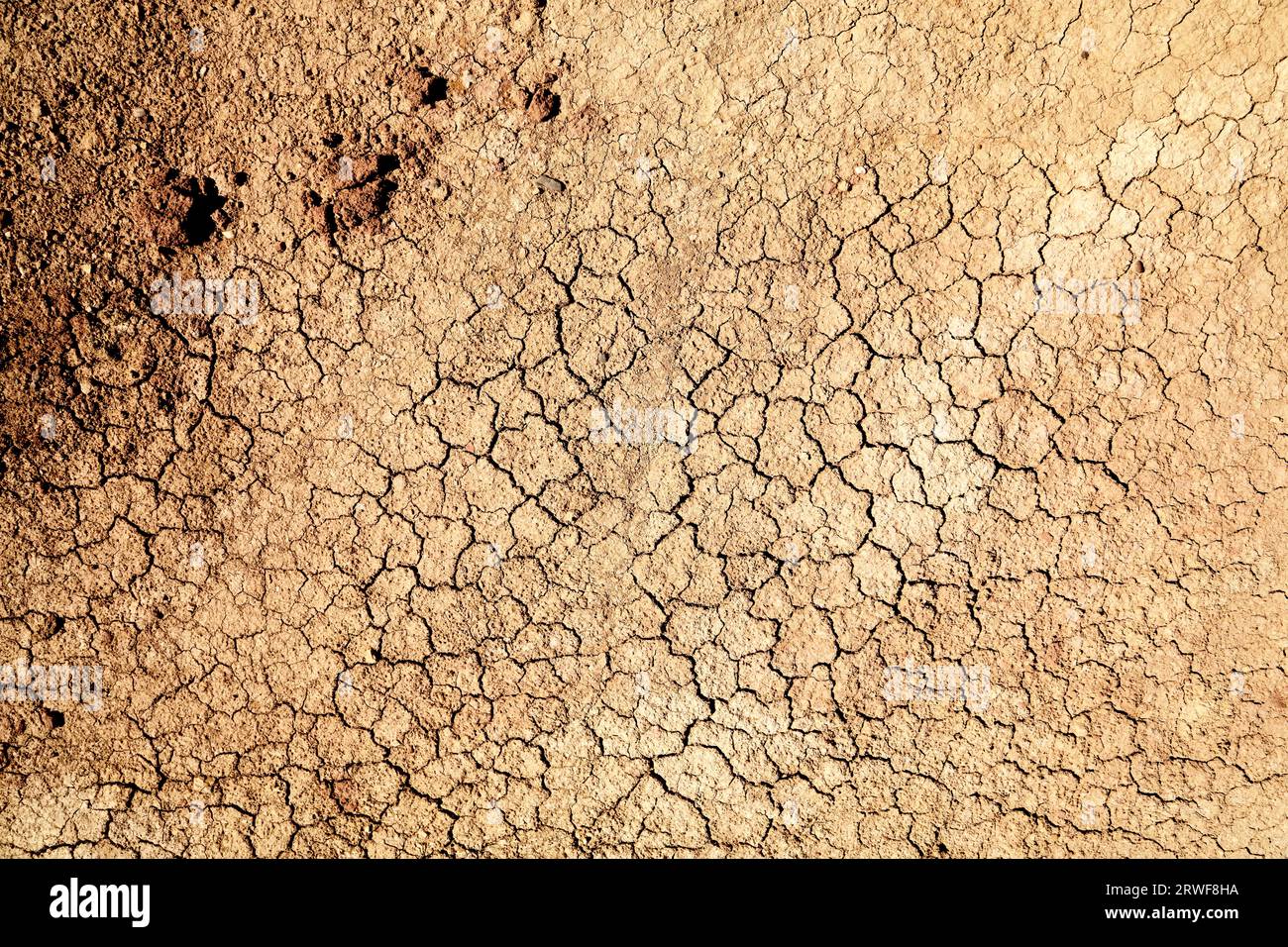 Dried mud surface - dry riverbed earth texture. Drought in California Stock Photo - Alamy