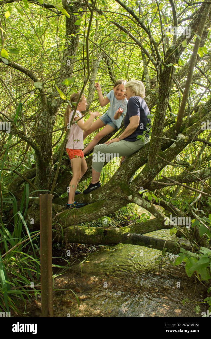grandmother climbing in a tree with grandchildren, girls, having an ...