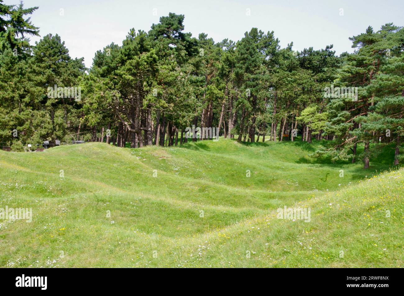 Shell scarred landscape at Vimy Ridge Battlefield. Vimy, France Stock ...